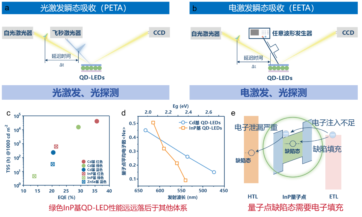 Nature: 河南大学绿色InP基 QD-LED材料与器件领域取得重大突破-河南大学新闻网